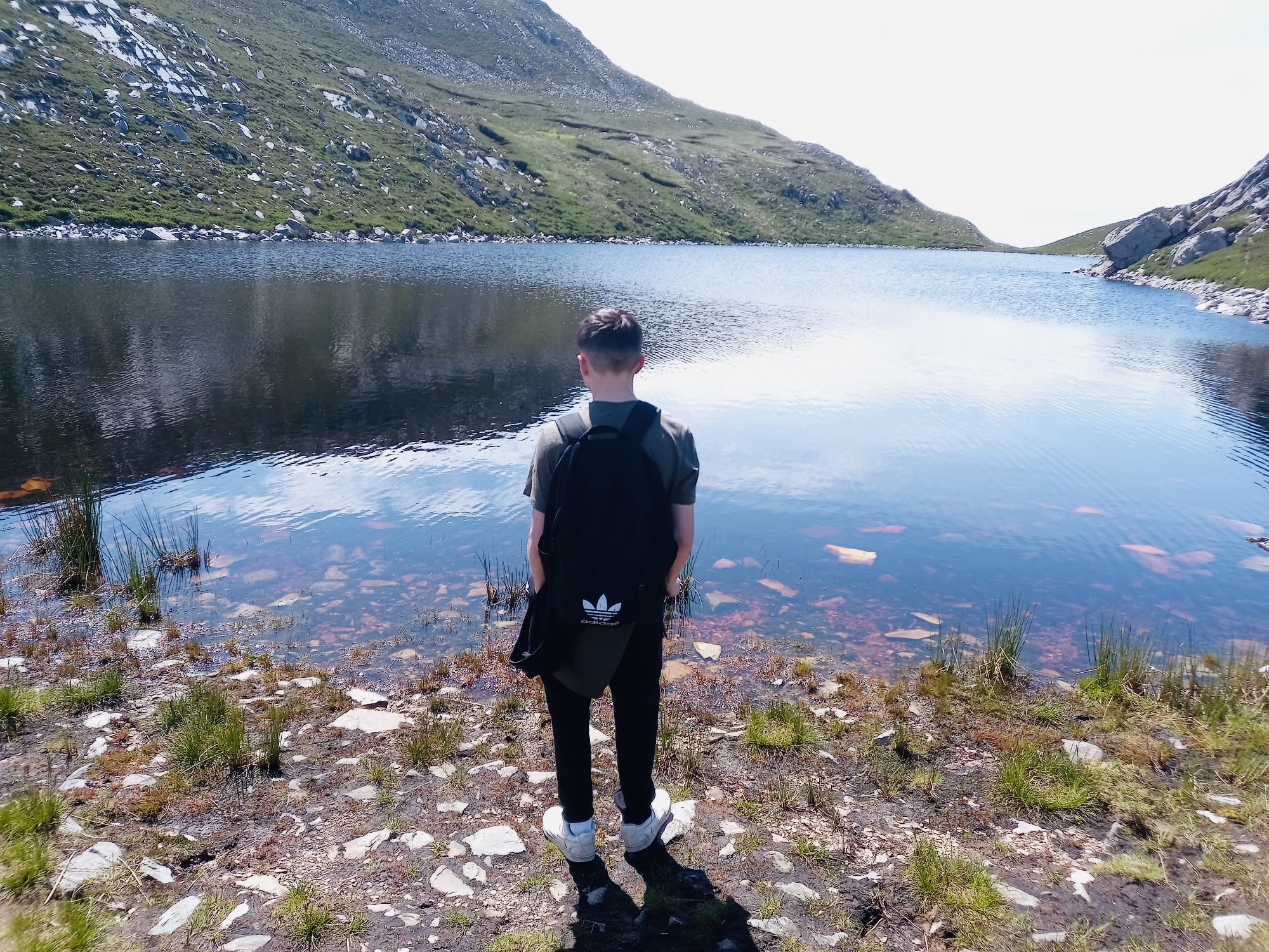 About Us - Solis EMC